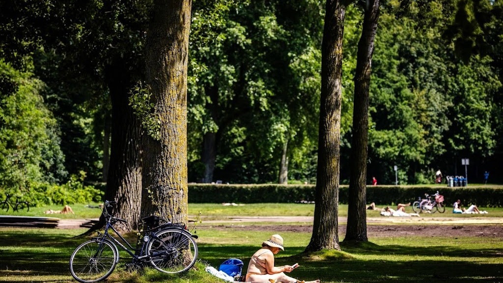 Weeronline: officieel warmste 24 juni ooit gemeten | Noordhollands Dagblad