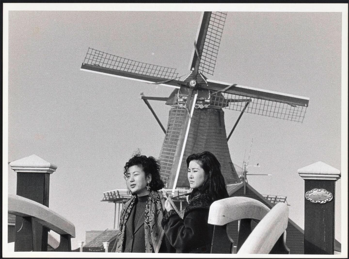 Ronald Peeters fotografeerde bijna per ongeluk ...