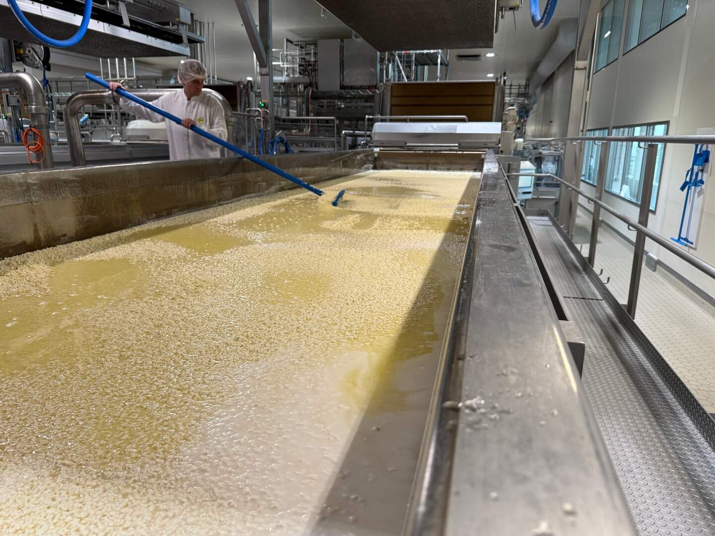 Gerenommeerde kaasmakers ontsluieren aardig wat geheimen, maar laten ...