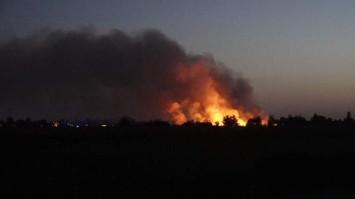 Natuurbrand Koog aan de Zaan mogelijk aangestoken: ’Van plan aangifte ...
