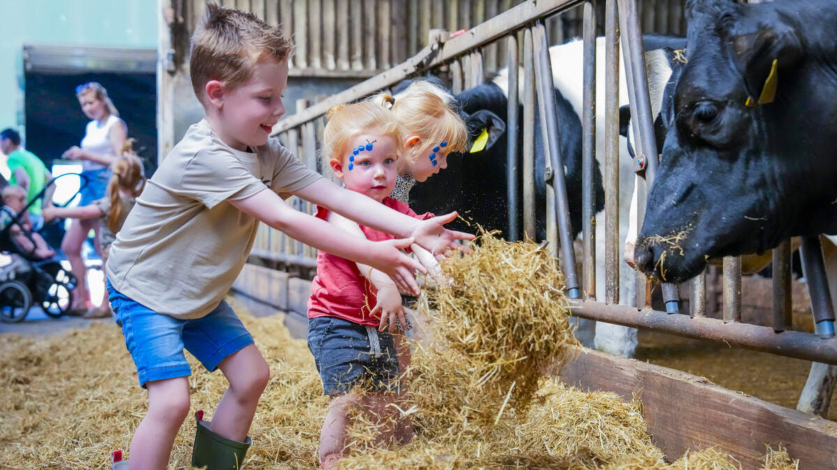 Familie Oudshoorn haalt burger voor derde keer naar de boerderij. ’Je ...