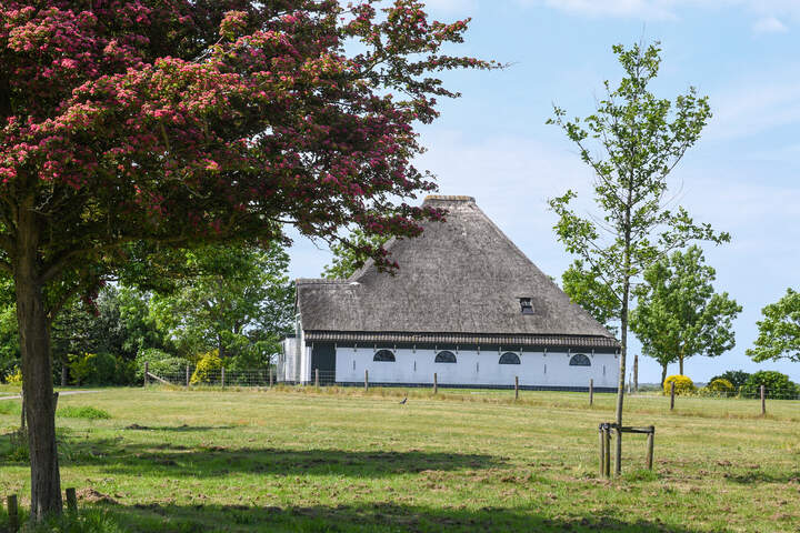 Schuren monumentale hoeve Buitenlust gesloopt, agrarische bestemming ...