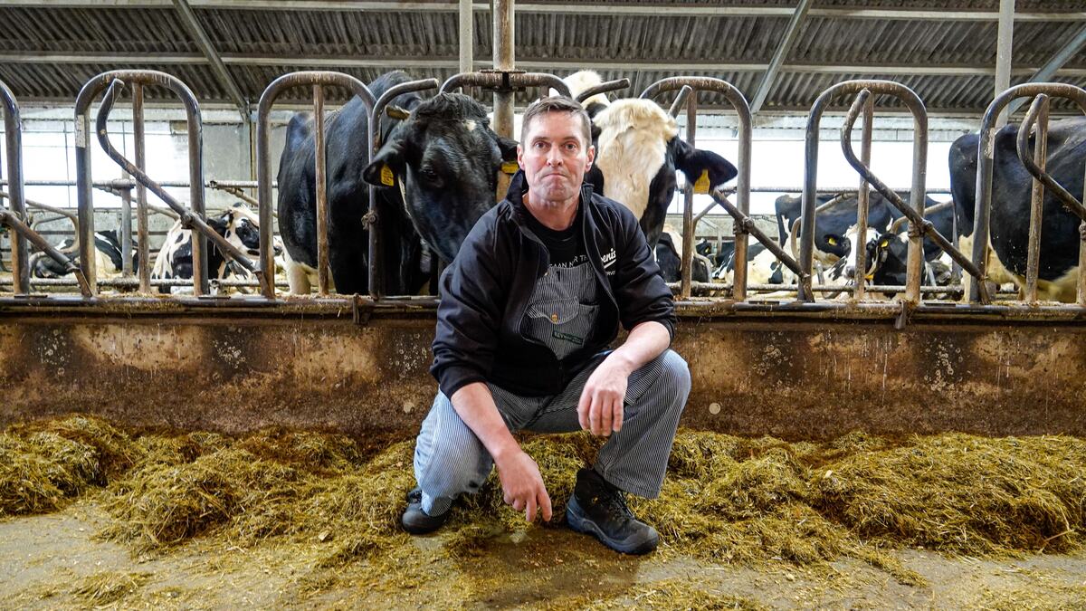 Jacob Jan viert jaarwisseling tussen zijn koeien om ze te beschermen ...