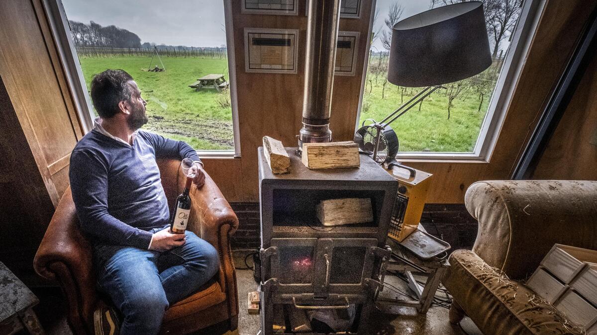 Een wijngaard. Hier? In Oterleek? De wijn staat inmiddels op het menu ...