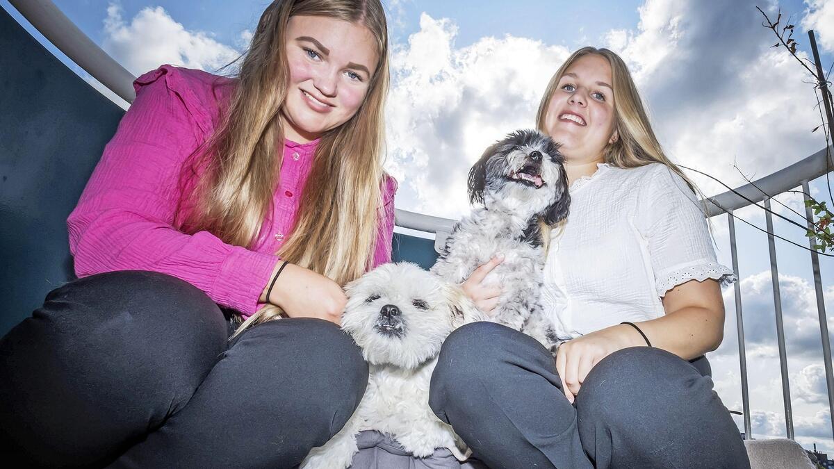 ’Ga maar naar de daklozenopvang’. Dat krijgen de zussen Rachel en ...