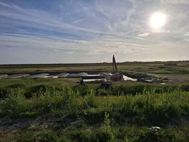 Polder Wassenaar op Texel wordt ’internationaal uniek’ natuurgebied ...