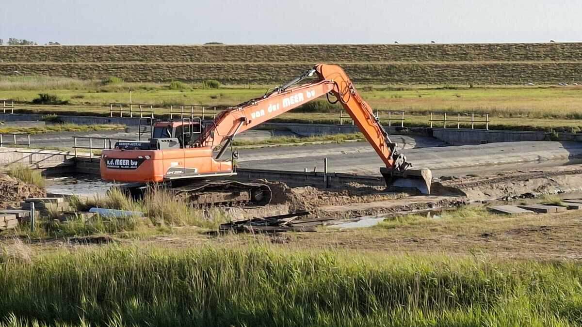 Polder Wassenaar op Texel wordt ’internationaal uniek’ natuurgebied ...