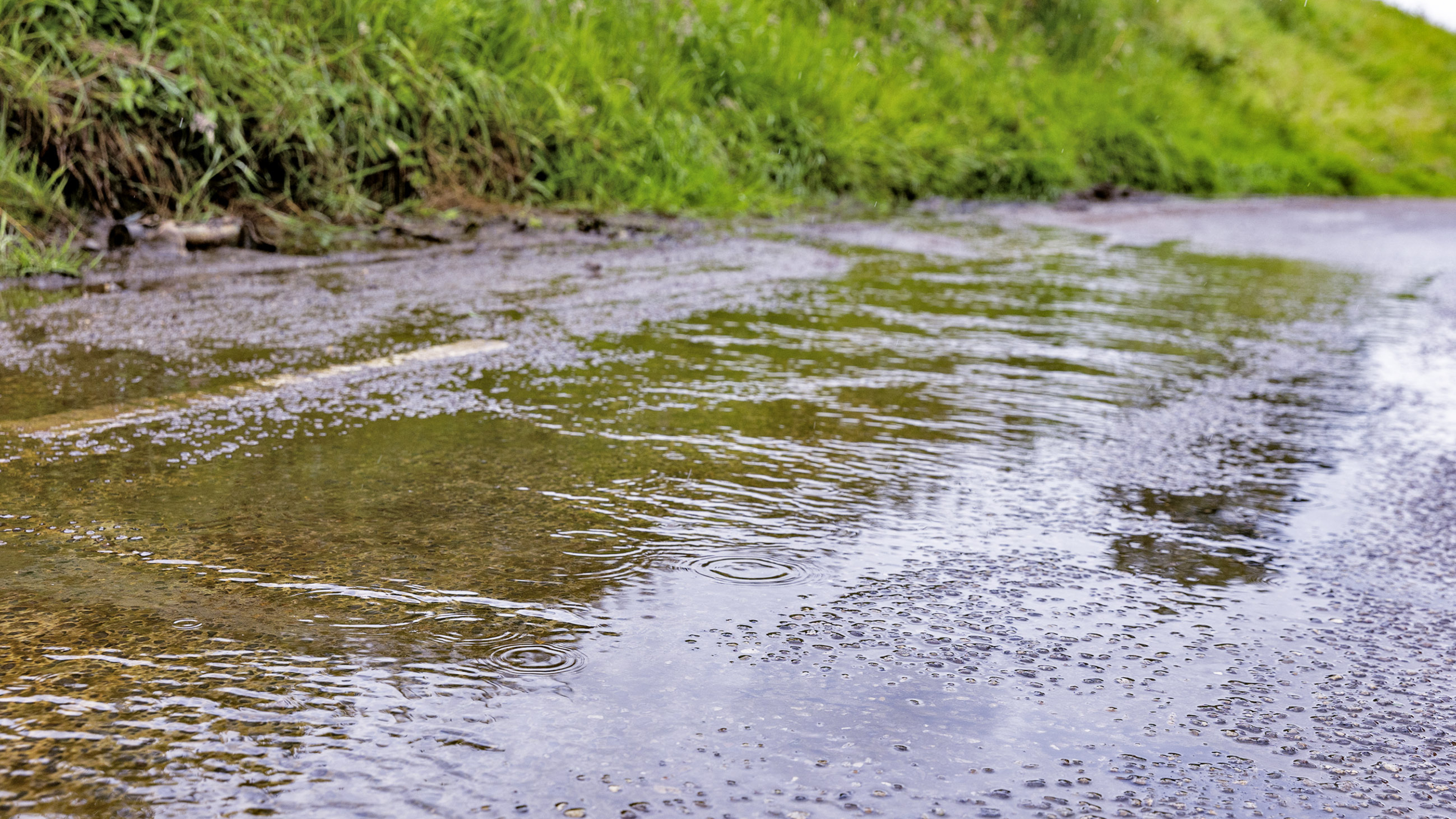 Opborrelend bruin water in Beverwijk is waarschijnlijk vervuild door ...