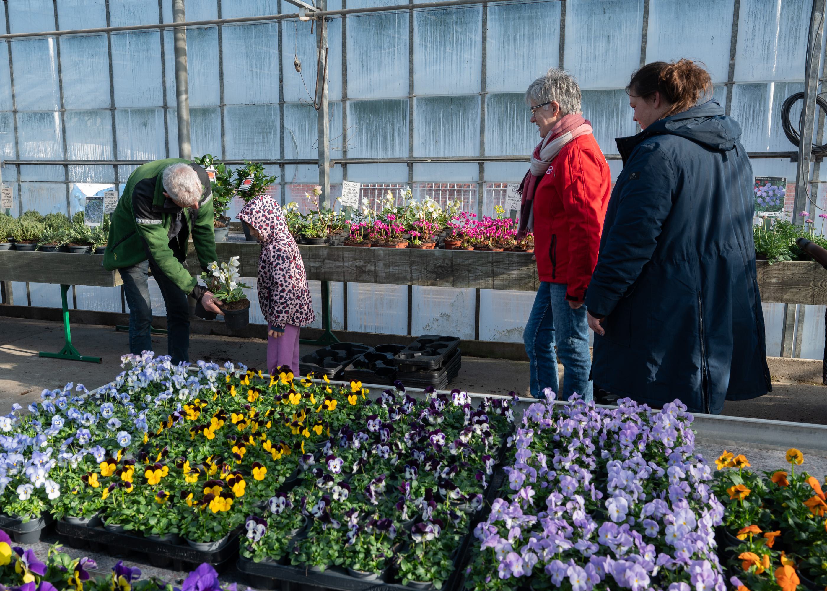 Voor West-Friese plantenkwekers kan het voorjaar beginnen: ’Wij hebben ...