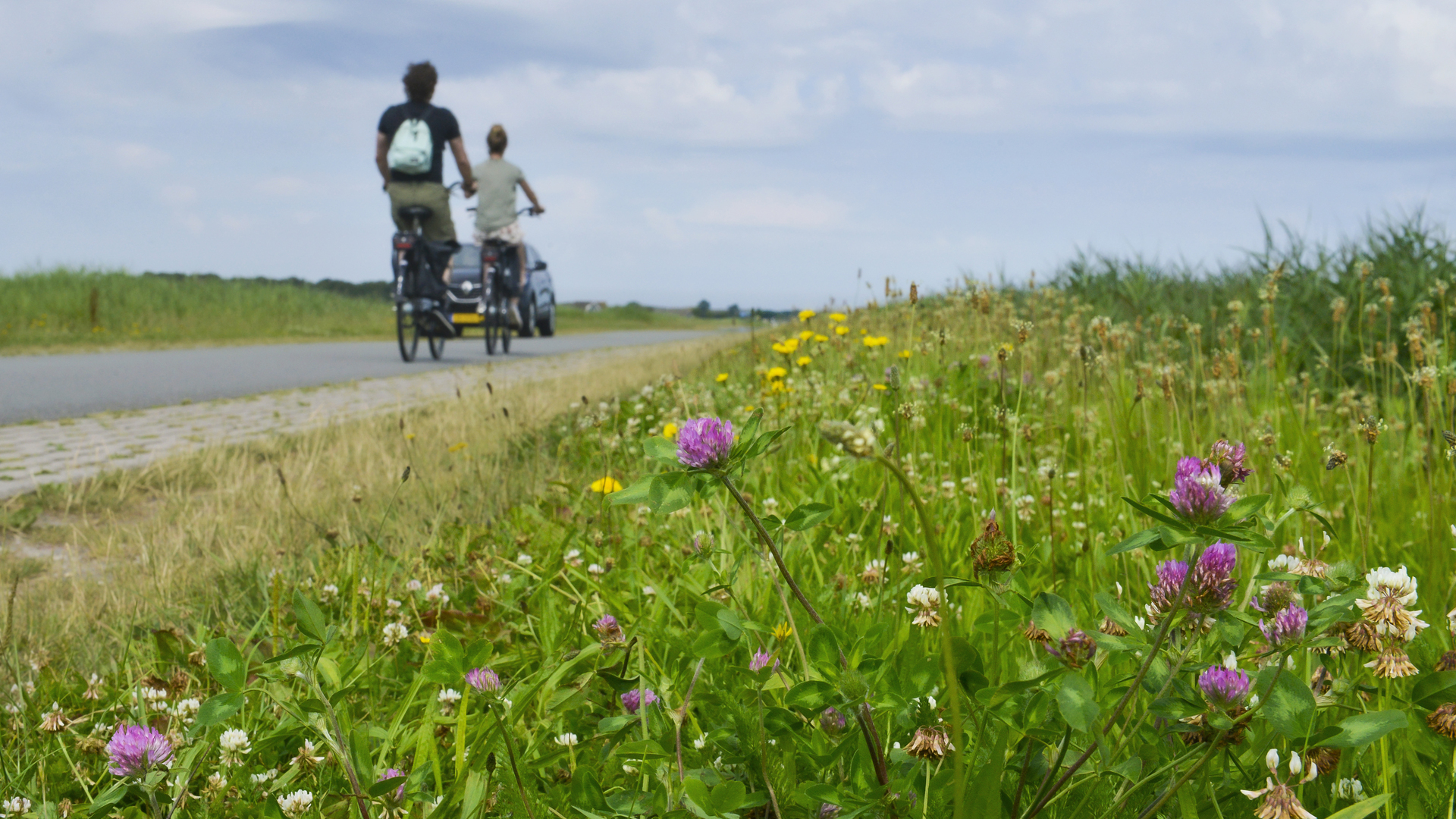 Start ecologisch maaien in Uitgeest. Dieren en planten moeten zo meer ...