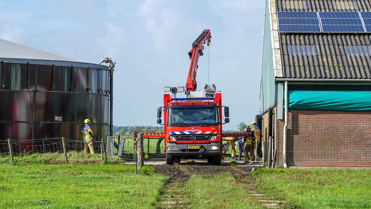 Brandweer redt koe na val in gierput bij boerderij in De Weere ...