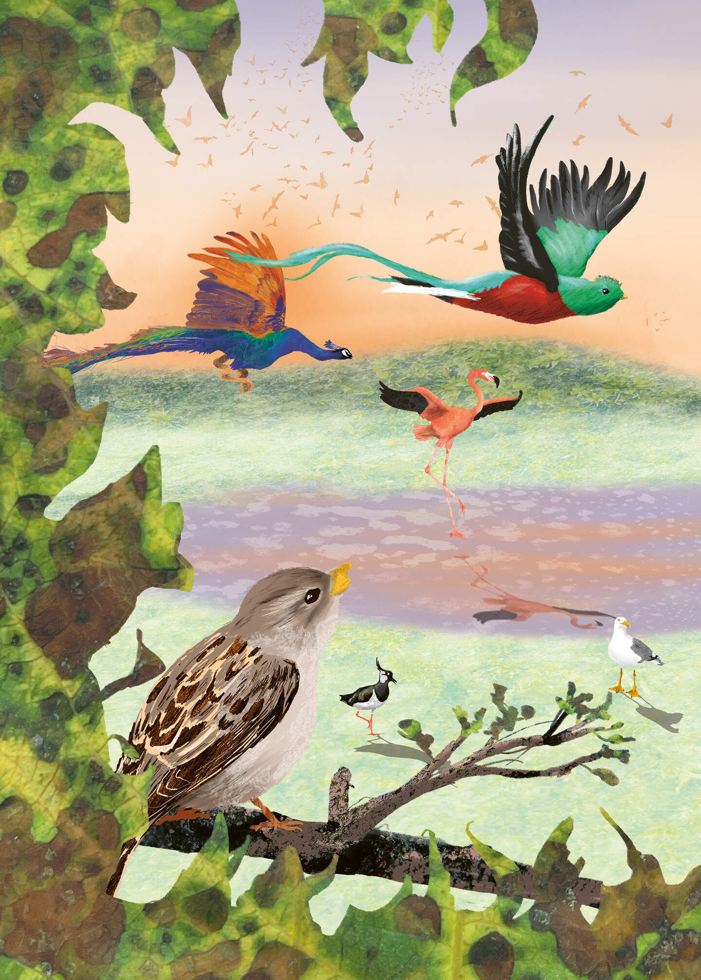 Levenslessen van Mus, Quetzal en Hop: Sabine Wassenberg en Kamel ...