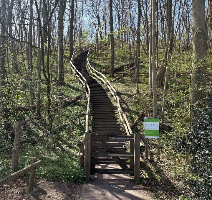 Struinen door de duinen bij Castricum: mobieltjes inleveren en hup naar ...