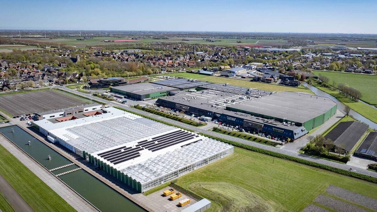 Nederlanders in Oekraïne richten hun woede op Noord-Hollandse ...