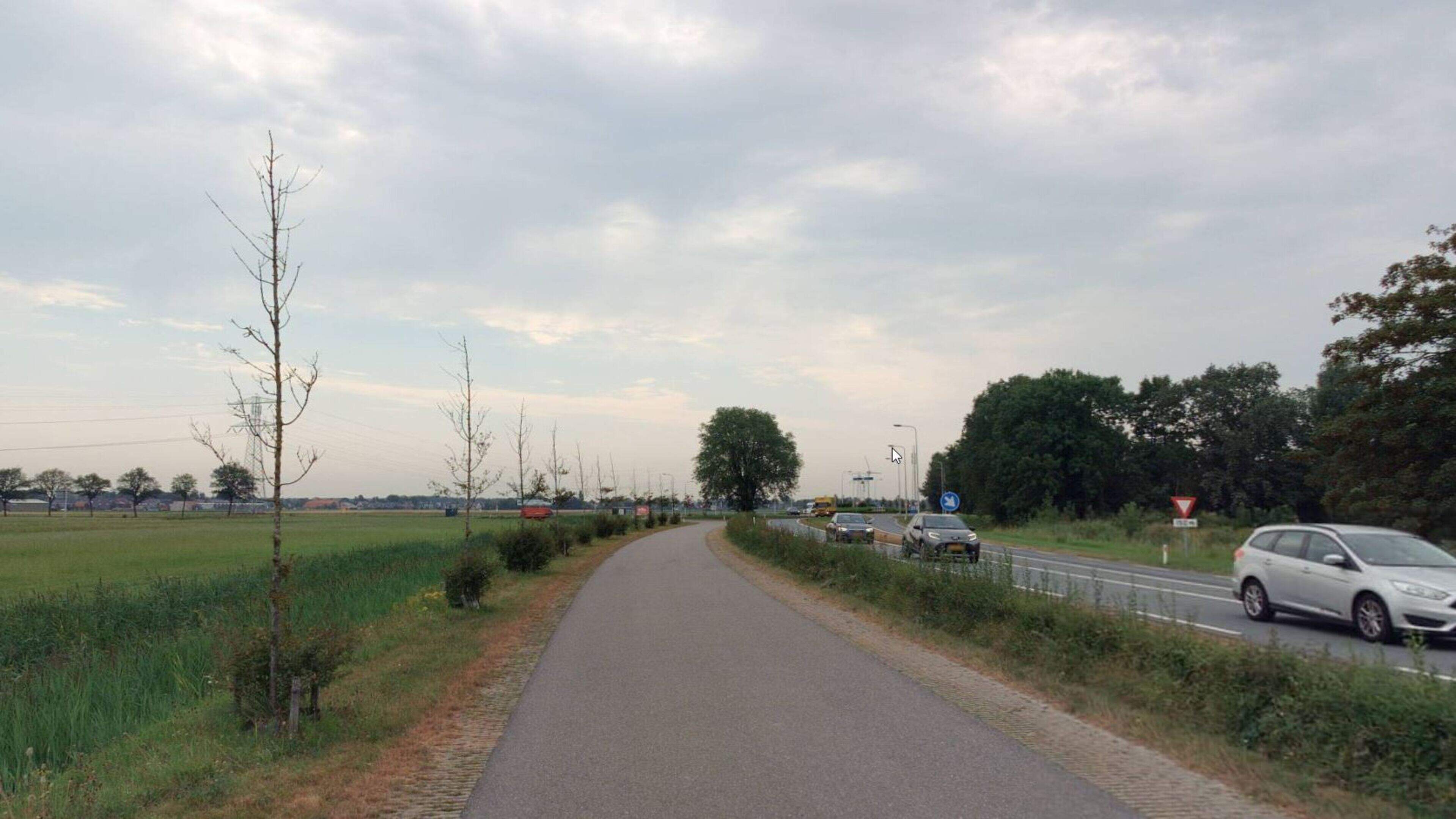 Door fout tien jaar geleden, moeten nu mogelijk 431 bomen langs ...
